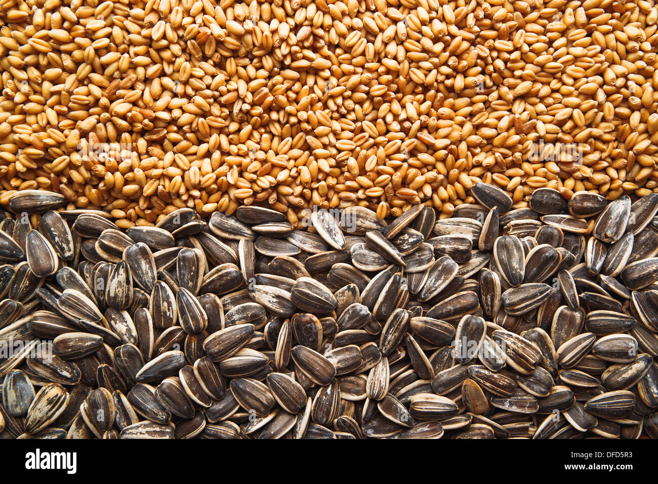 Table agriculture hi-res stock photography and images - Alamy