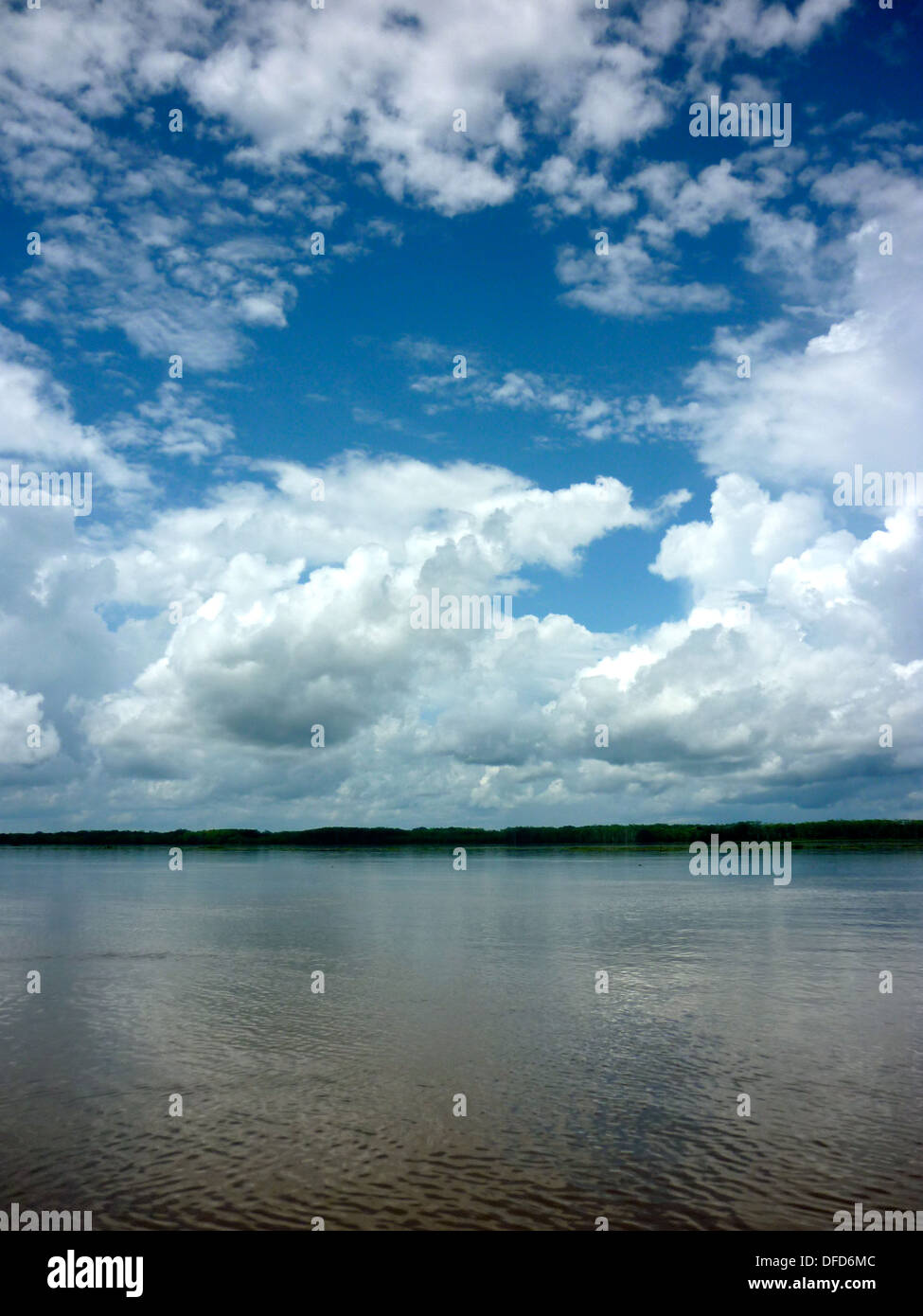 Amazon river ecosystem hi-res stock photography and images - Alamy
