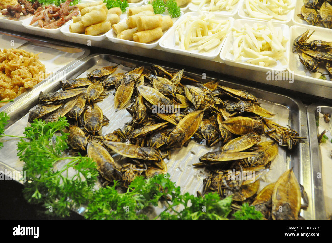 Fried cockroach hi-res stock photography and images - Alamy