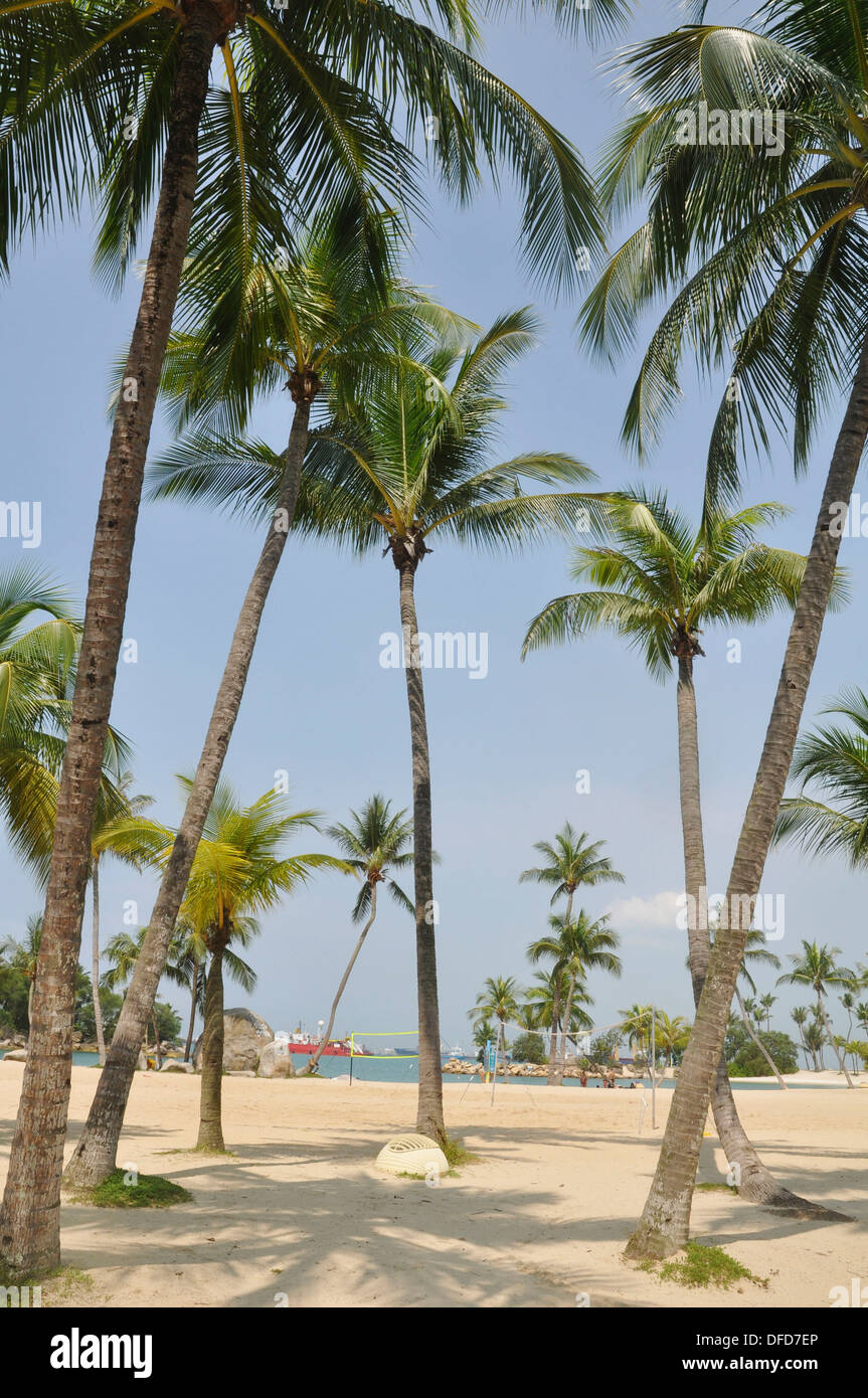 Singapore: Siloso Beach, in Sentosa island Stock Photo - Alamy