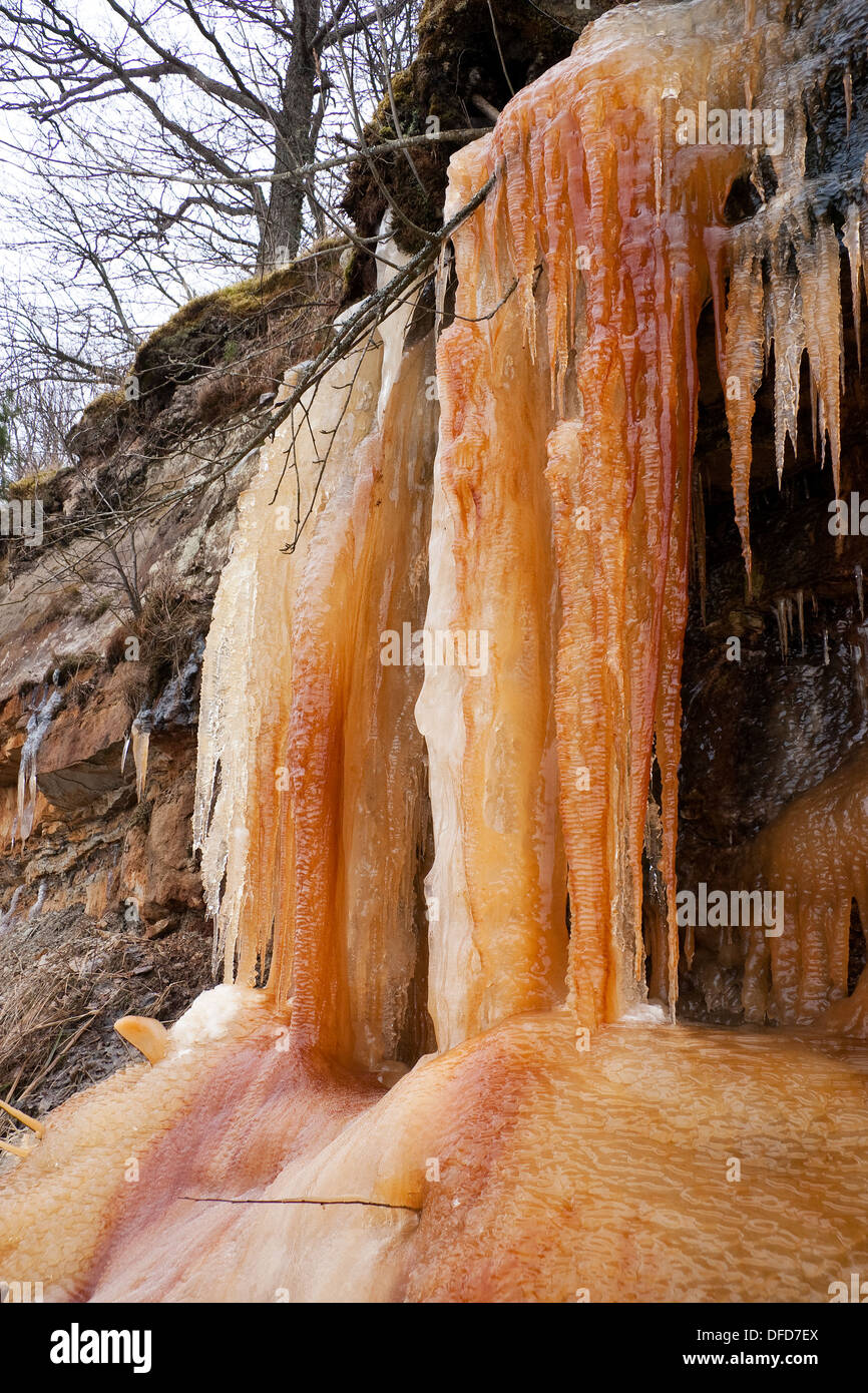 Tall yellowish hi-res stock photography and images - Alamy