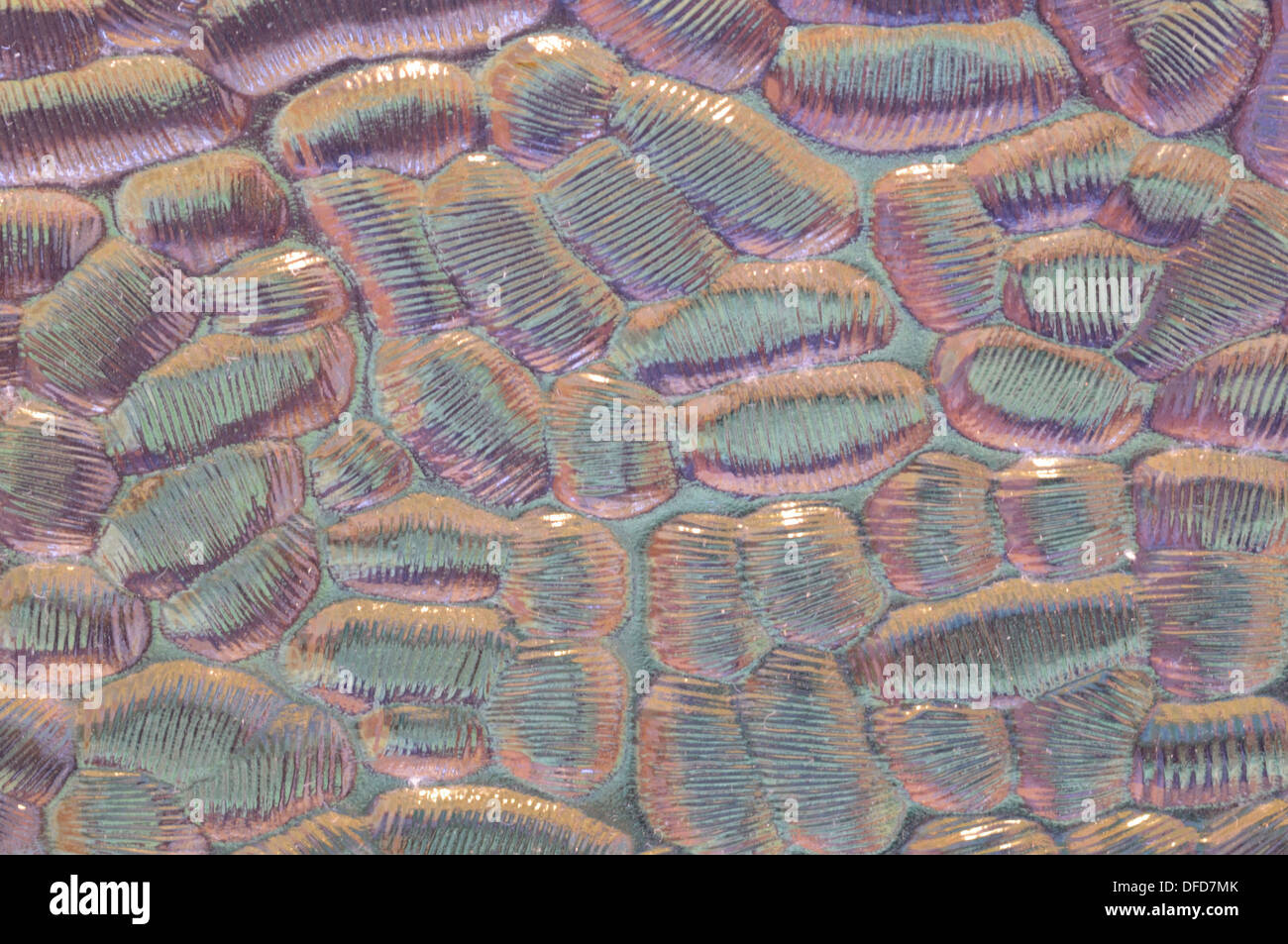 Patterned glass texture hi-res stock photography and images - Alamy