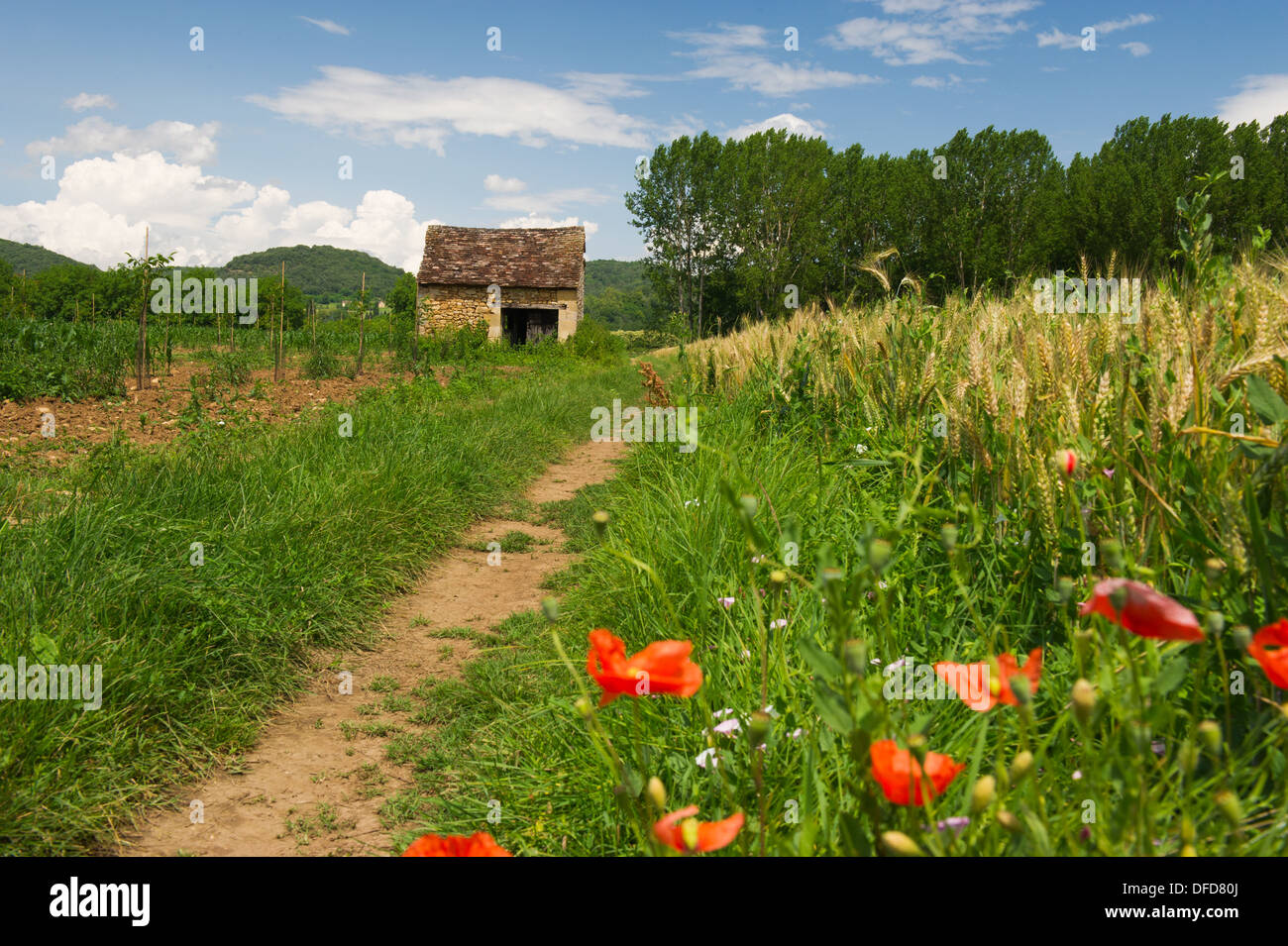 Inhabitable House High Resolution Stock Photography and Images - Alamy