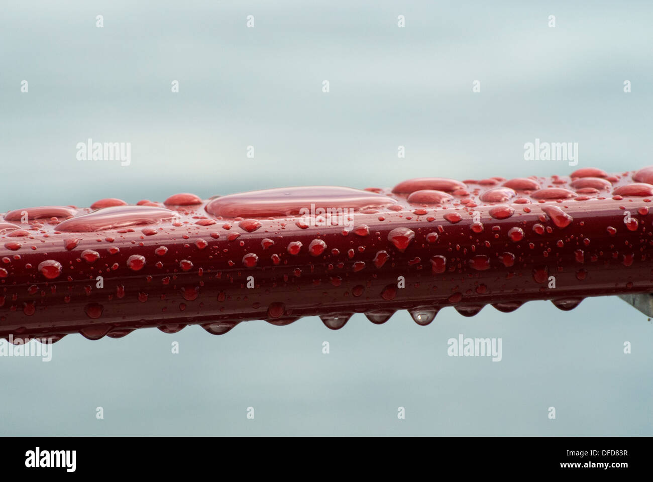 After the rain Stock Photo - Alamy