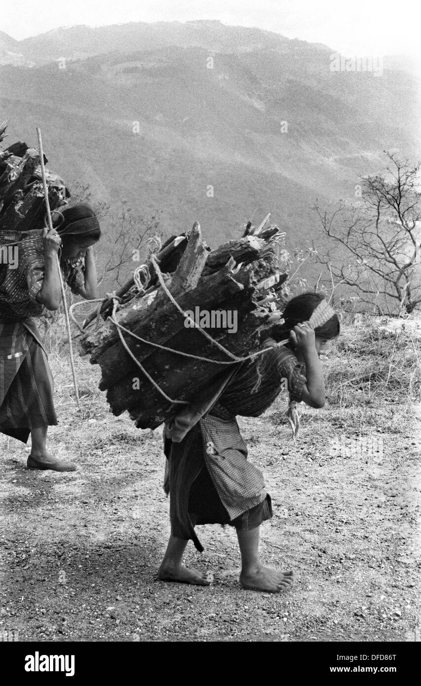 Indigenous native Indians women carrying huge packs of wood walking ...