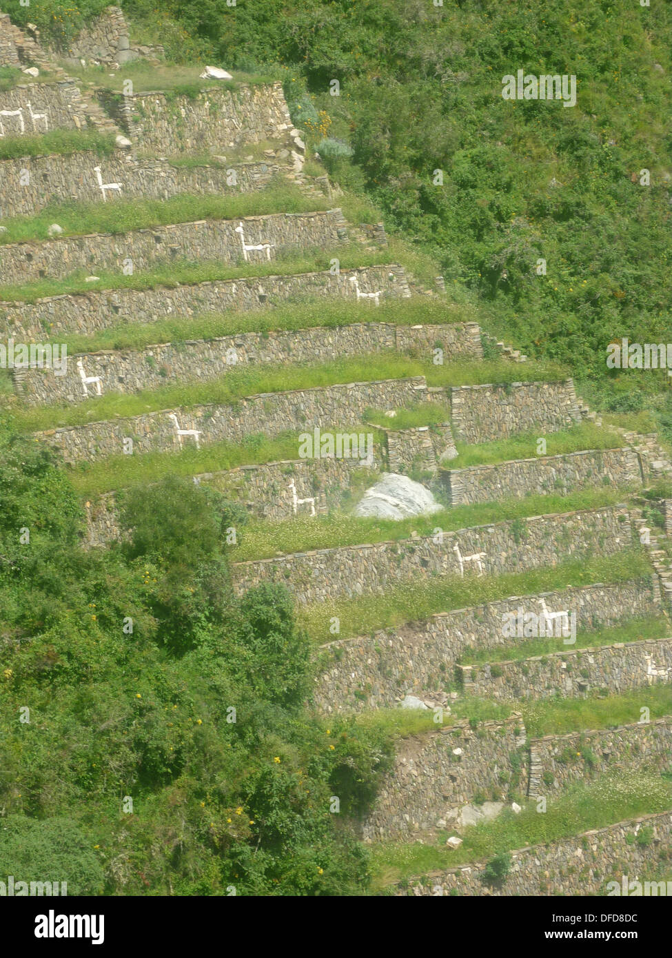 Stone terraces with llama detailing at the Inca site of Choquequirao ...