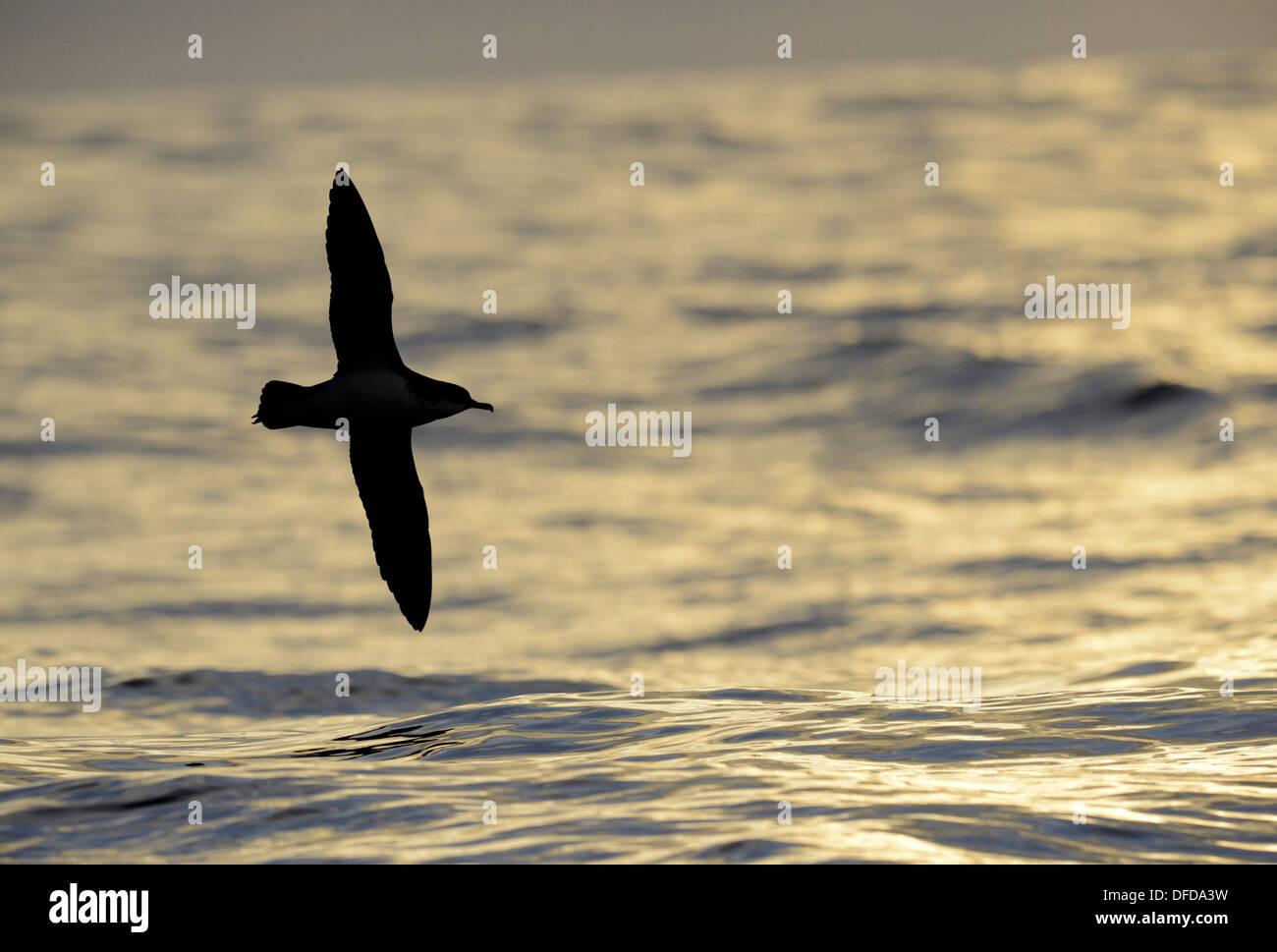 Aerial manx hi-res stock photography and images - Alamy