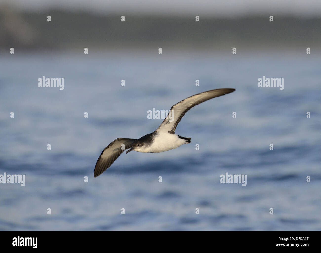 Aerial Manx High Resolution Stock Photography and Images - Alamy