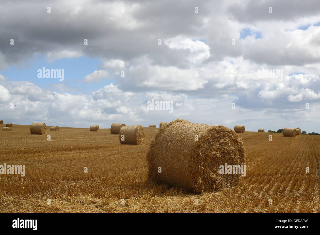 Rural ireland and summer hi-res stock photography and images - Alamy