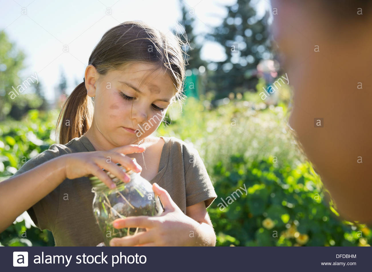 Vegetable bugs hi-res stock photography and images - Alamy