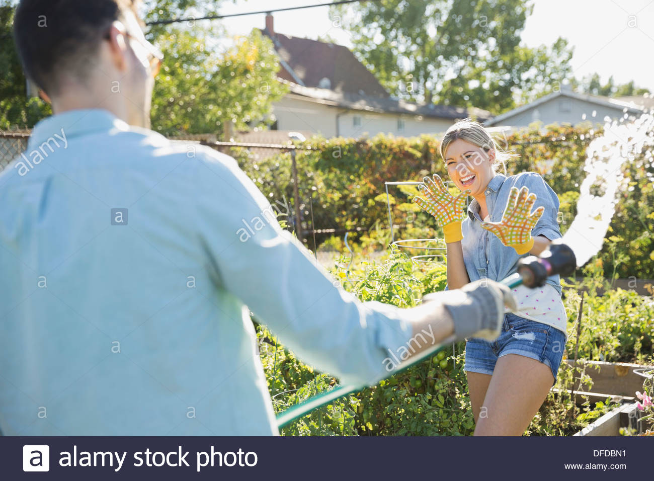 Man spraying water on woman in community garden Stock Photo - Alamy