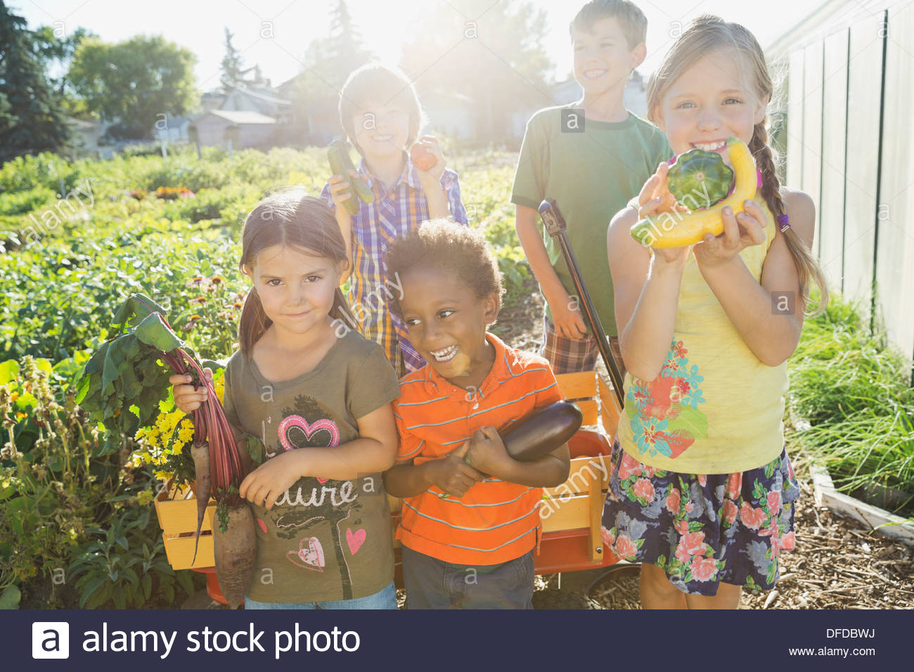 Child harvesting cucumber hi-res stock photography and images - Alamy