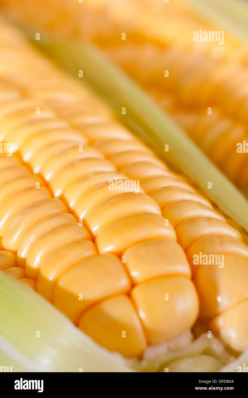 Sweetcorn corn cobs, close up Stock Photo - Alamy