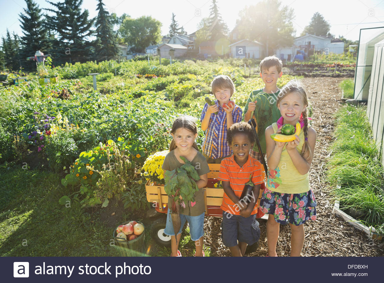 Child harvesting cucumber hi-res stock photography and images - Alamy