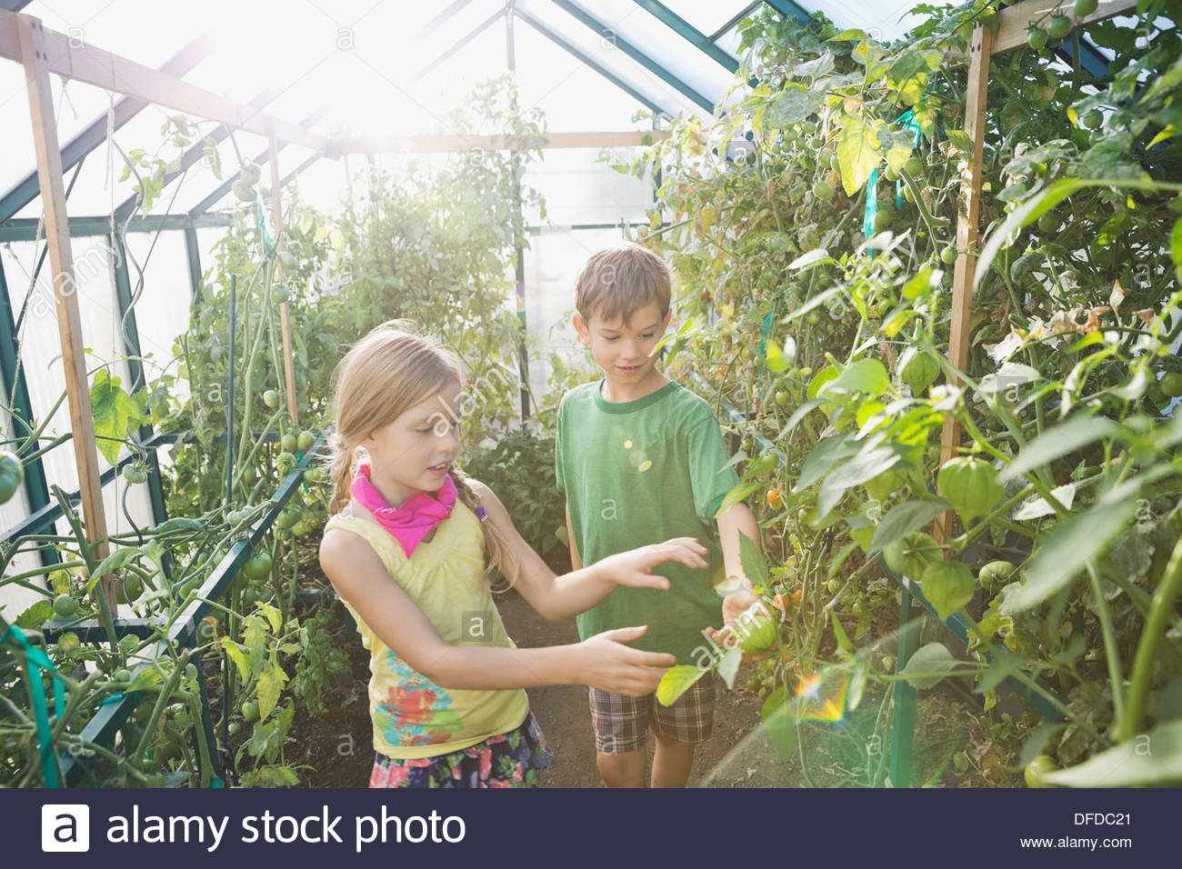 Children exploring hi-res stock photography and images - Alamy