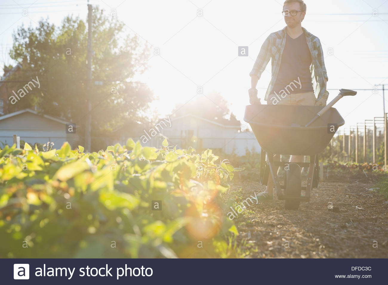 Man wheelbarrow hi-res stock photography and images - Alamy