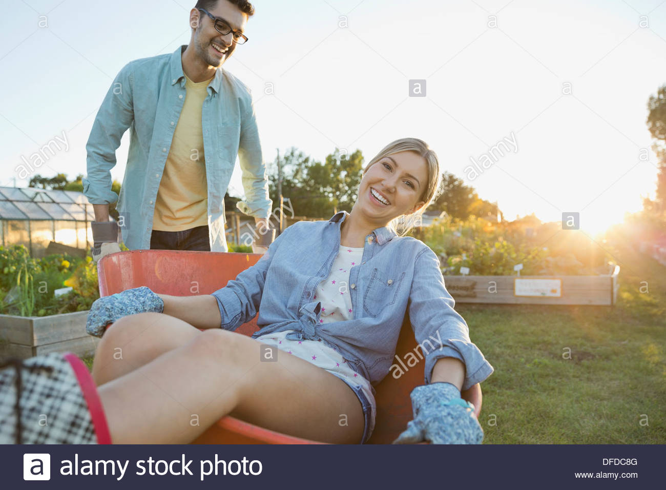 Man pushing female friend in wheelbarrow Stock Photo - Alamy