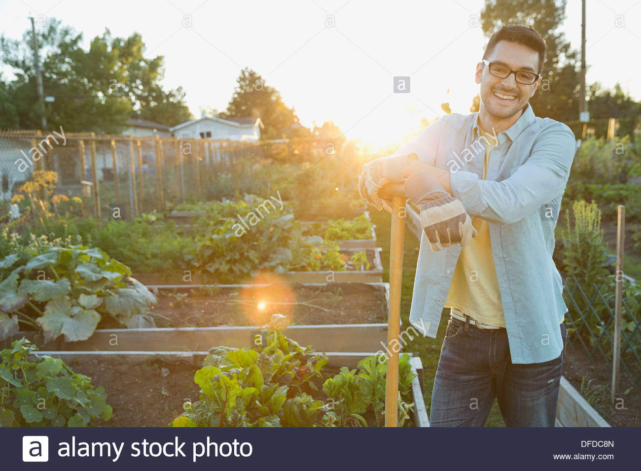Portrait Of Man Standing In Community Garden Stock Photo Alamy portrait-of-man-standing-in-community-garden-stock-photo-alamy