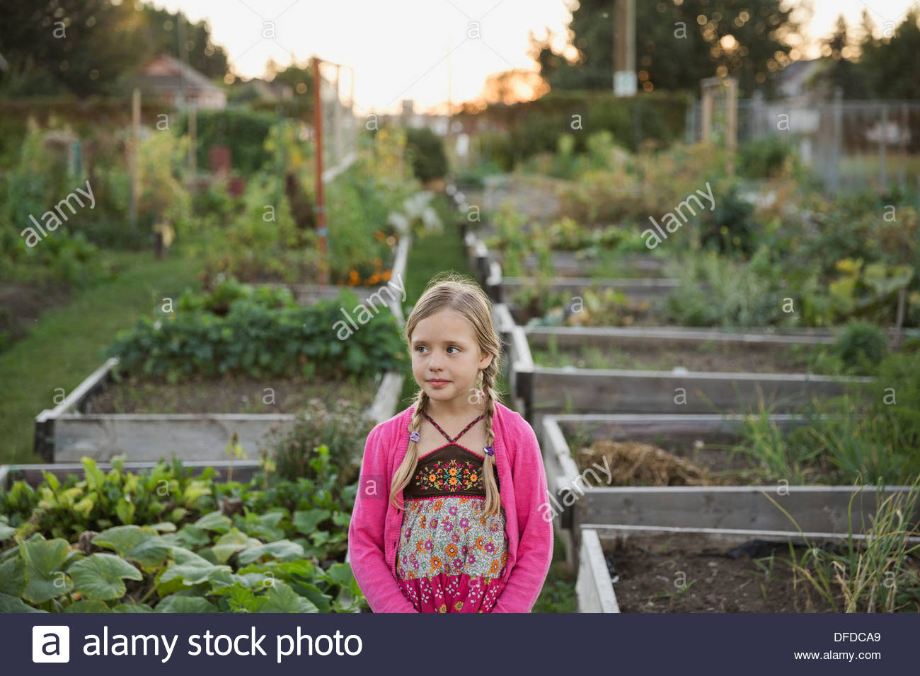 Girl Standing In Community Garden Stock Photo Alamy girl-standing-in-community-garden-stock-photo-alamy