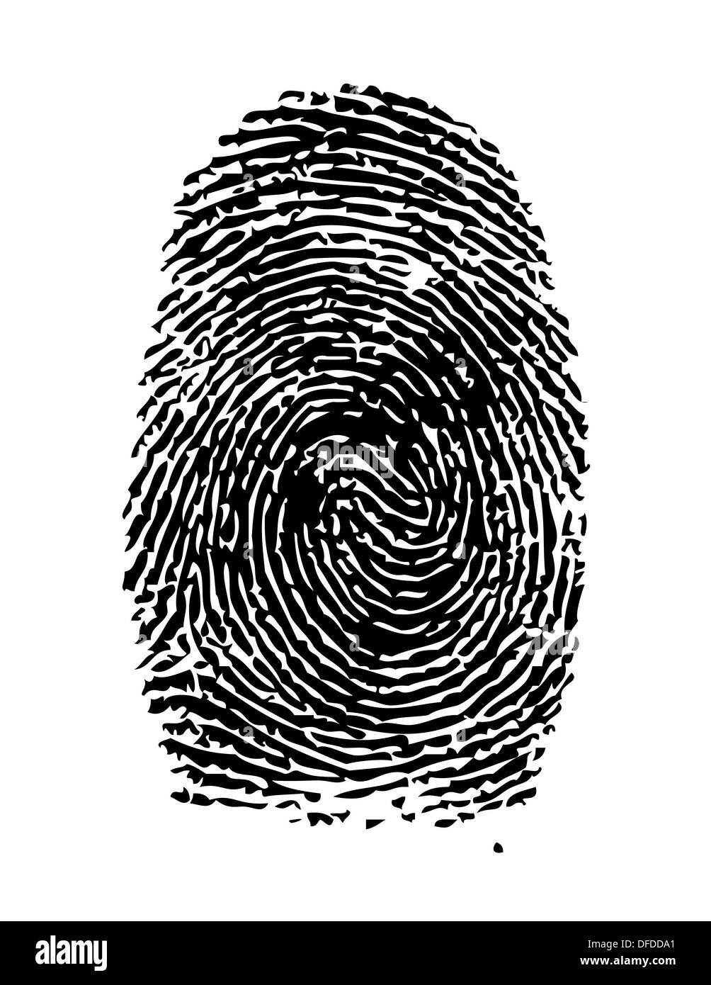 Highly detailed illustration of a fingerprint Stock Photo - Alamy