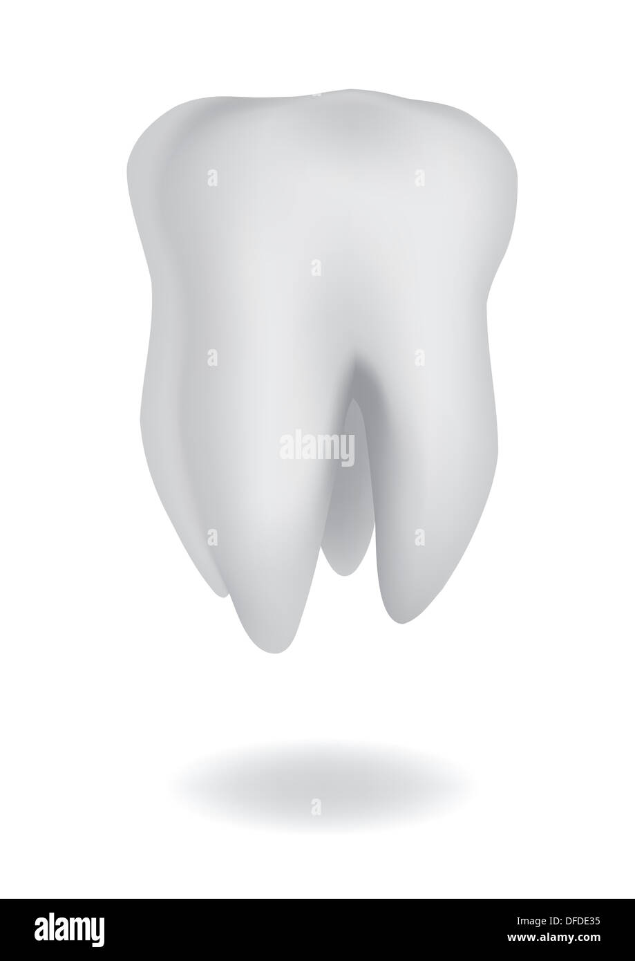 Photo-realistic illustration of a white tooth Stock Photo - Alamy