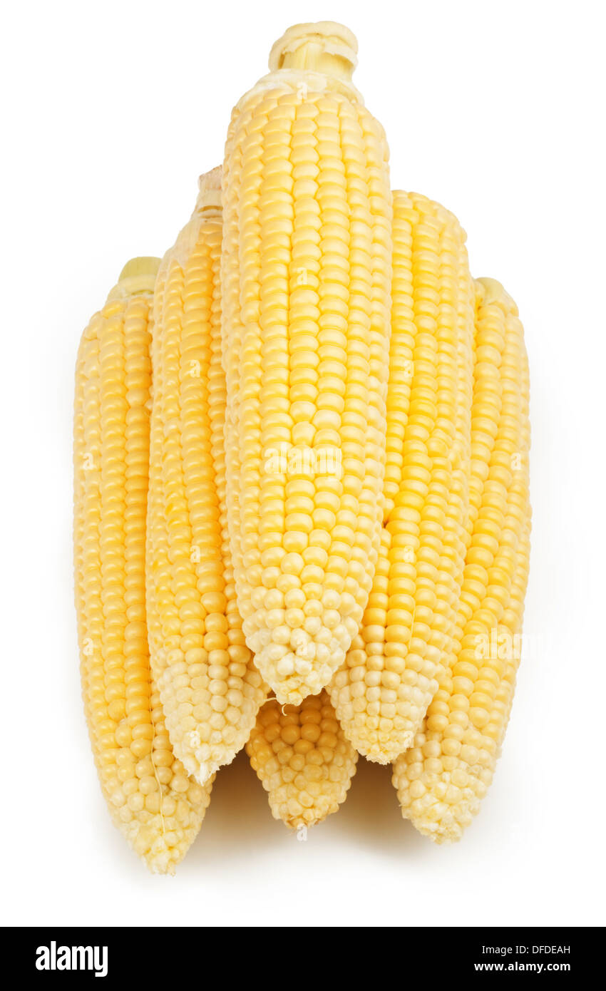 fresh corn fruits isolated on white background Stock Photo - Alamy