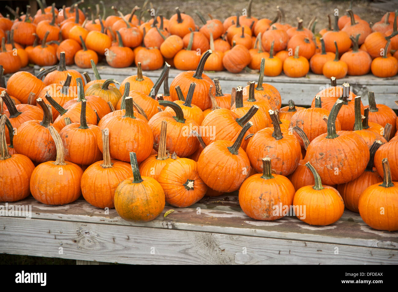 Small farm multiple crops hi-res stock photography and images - Alamy