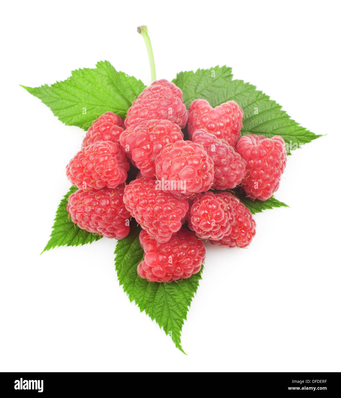 Fresh raspberry with green leaf on white background Stock Photo - Alamy