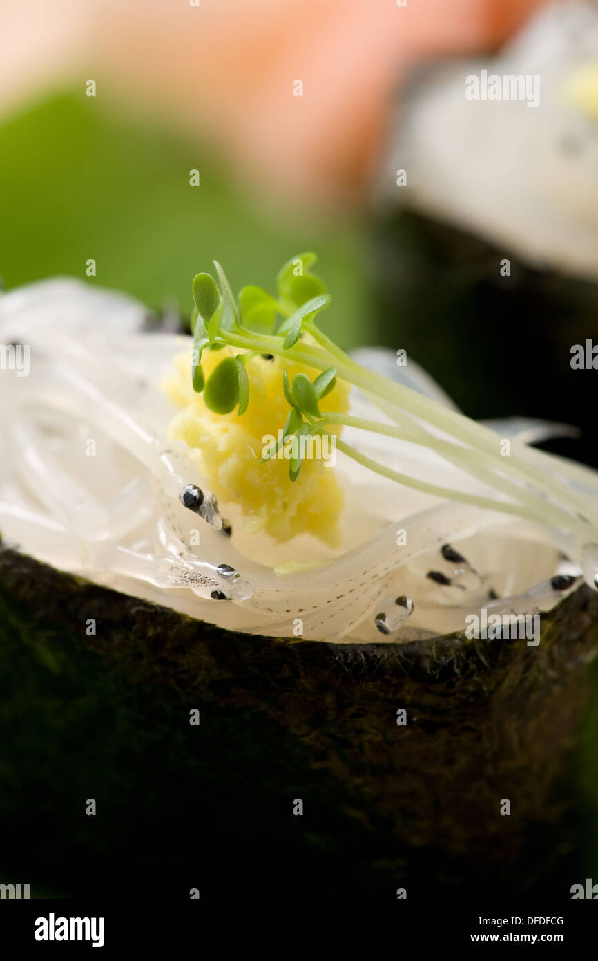 Salangidae hi-res stock photography and images - Alamy