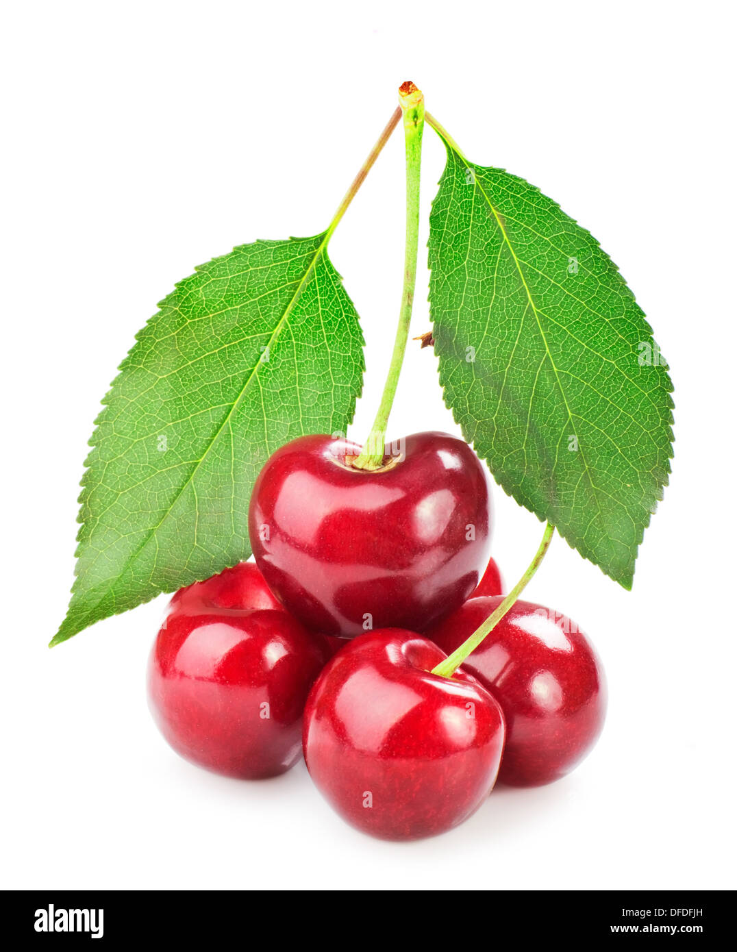 Sweet cherry isolated on white Stock Photo - Alamy