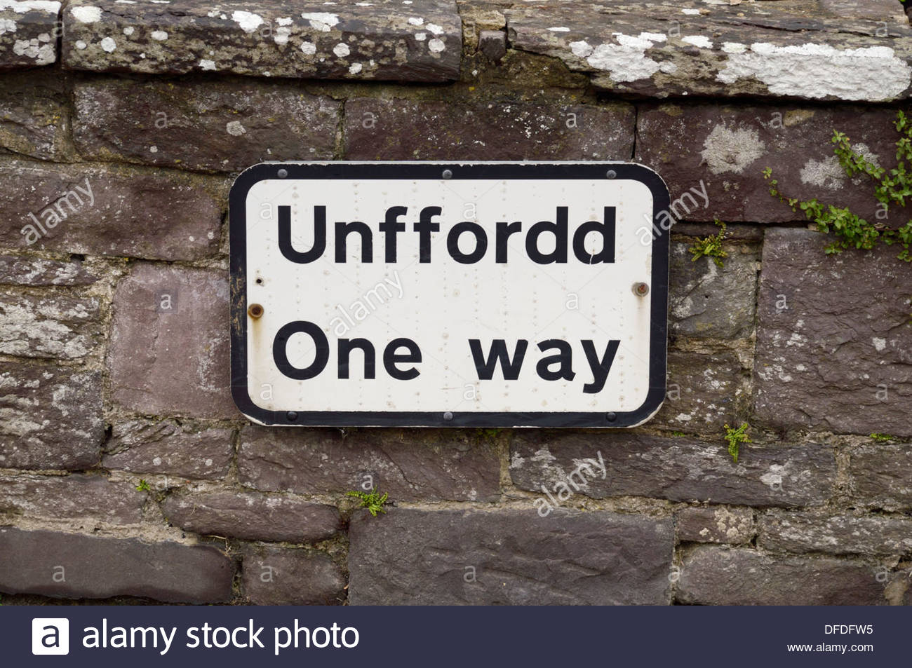 Old English Script High Resolution Stock Photography and Images - Alamy