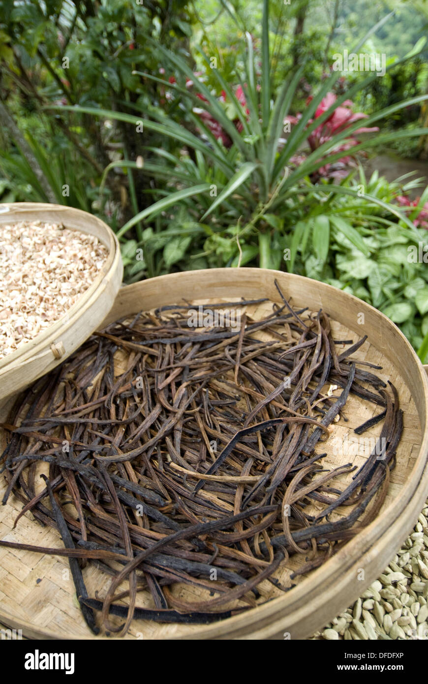 Balinese raw spices hi-res stock photography and images - Alamy