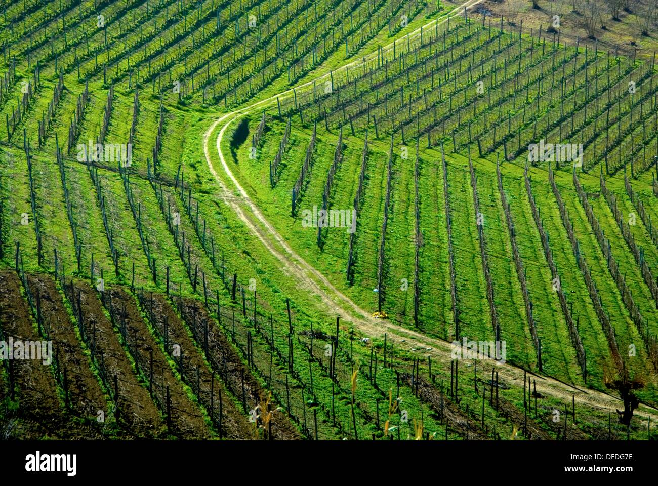 Palafea hi-res stock photography and images - Alamy