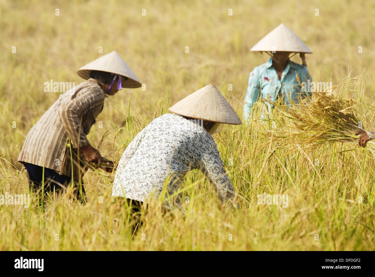 Ha tien hi-res stock photography and images - Alamy