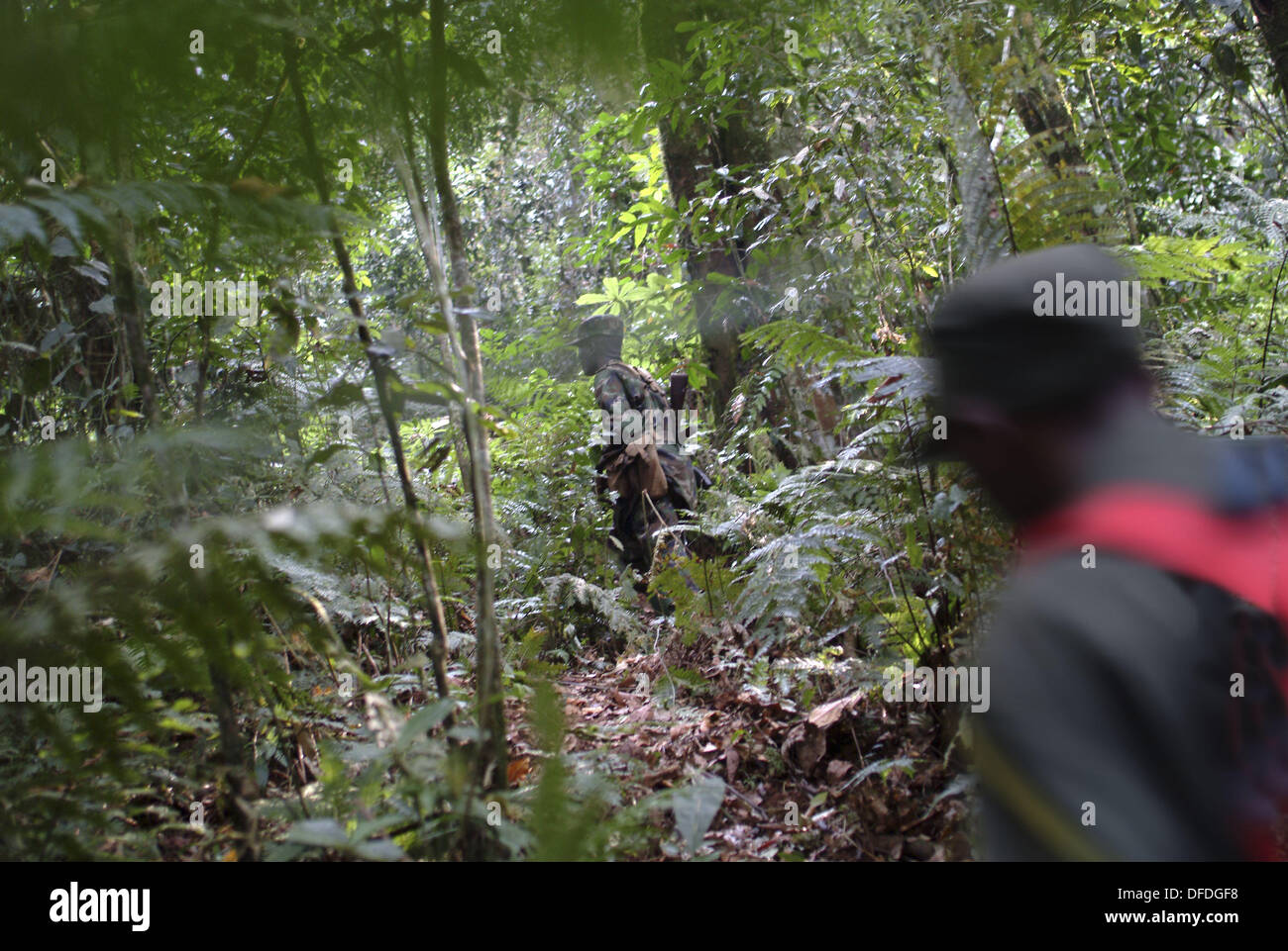 Jungle Tracking High Resolution Stock Photography and Images - Alamy