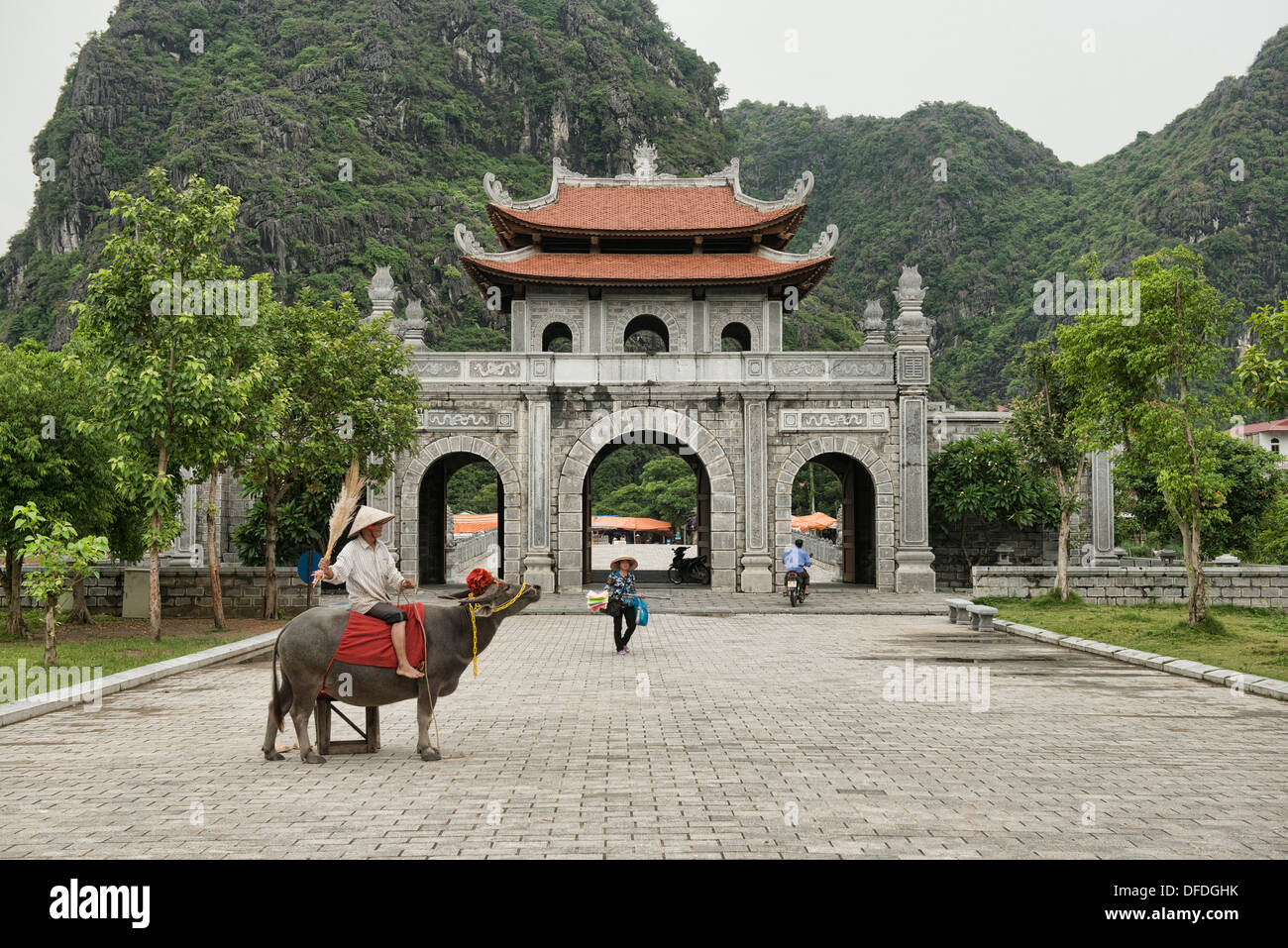 Hoa lua hi-res stock photography and images - Alamy