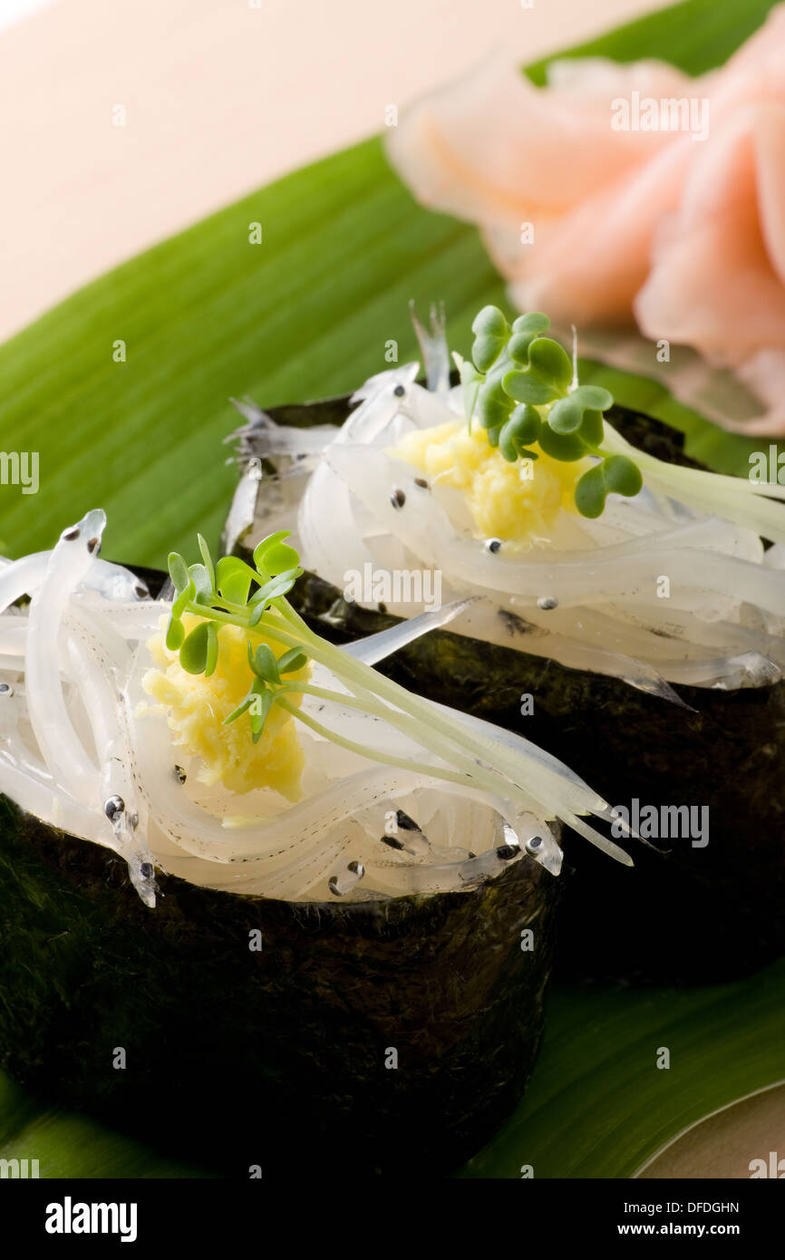 Salangidae hi-res stock photography and images - Alamy