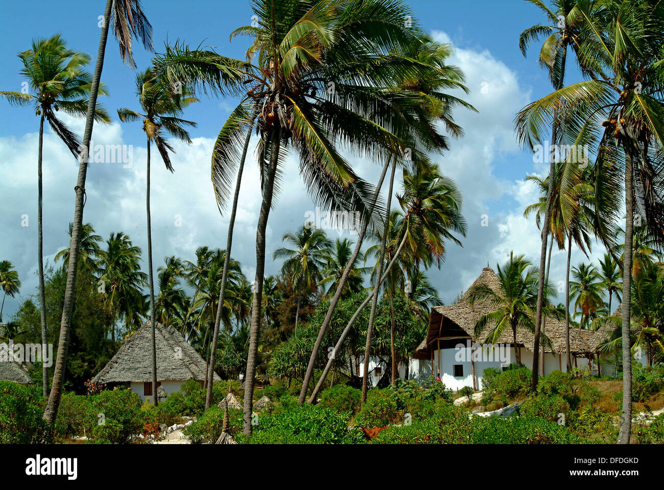 Matemwe beach village hi-res stock photography and images - Alamy