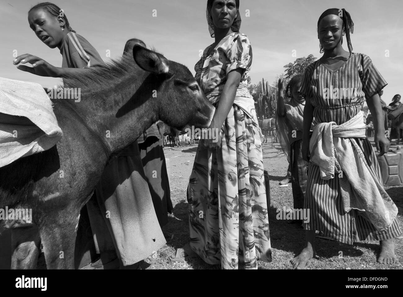 Sodo hi-res stock photography and images - Alamy