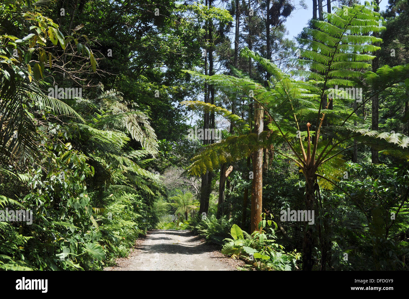 Yanbaru hi-res stock photography and images - Alamy