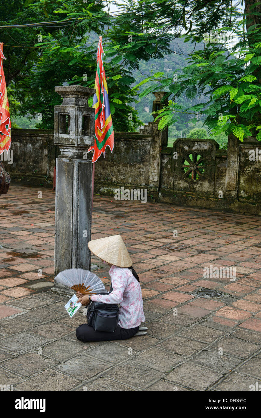 Hoa lua hi-res stock photography and images - Alamy