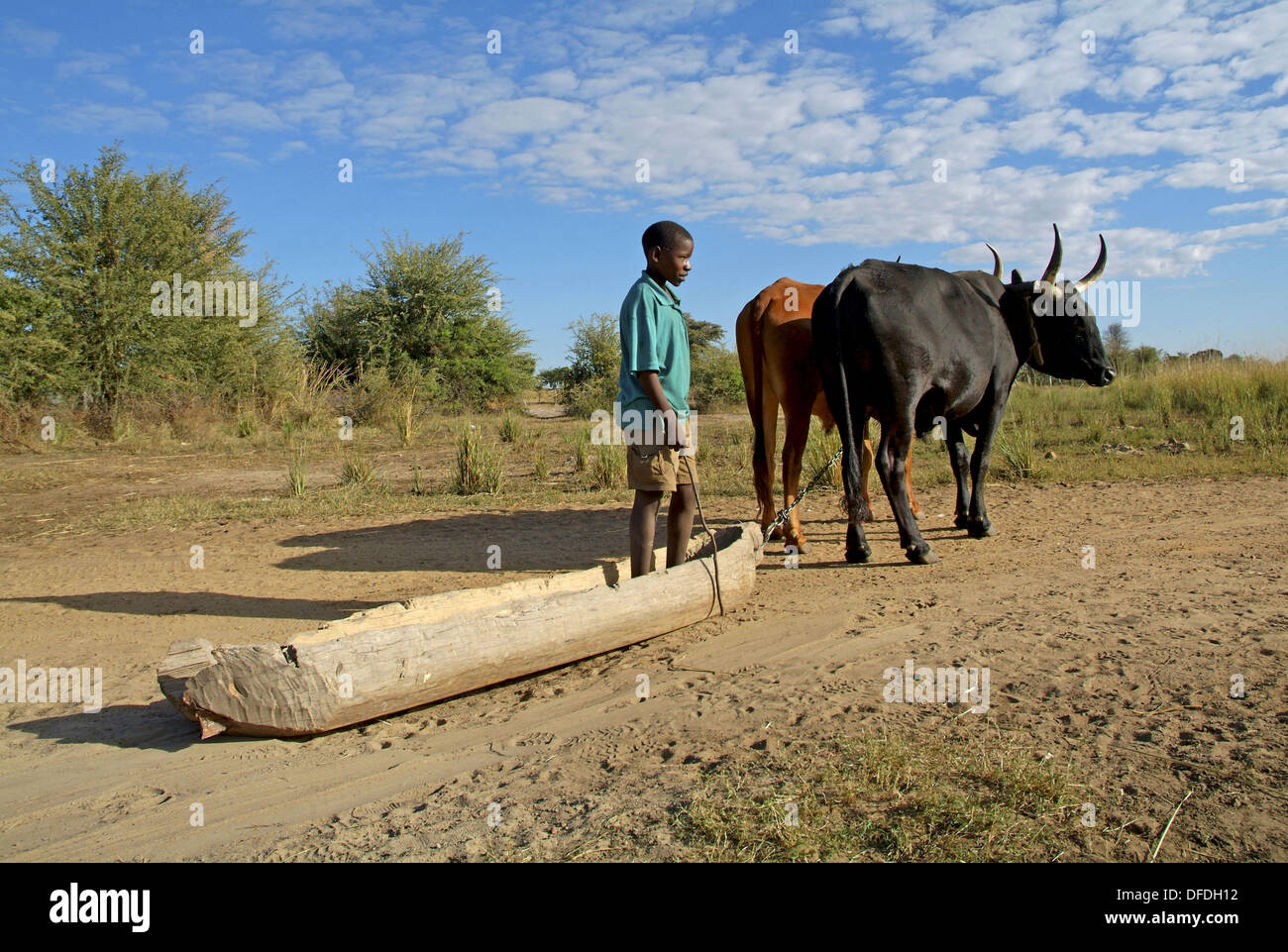 Divundu hi-res stock photography and images - Alamy