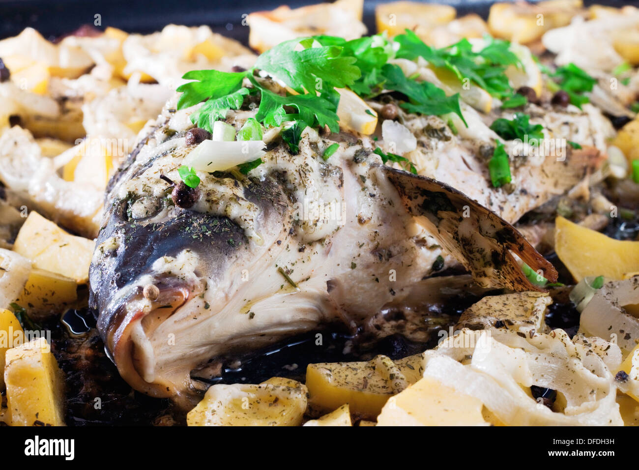 Fat carp hi-res stock photography and images - Alamy