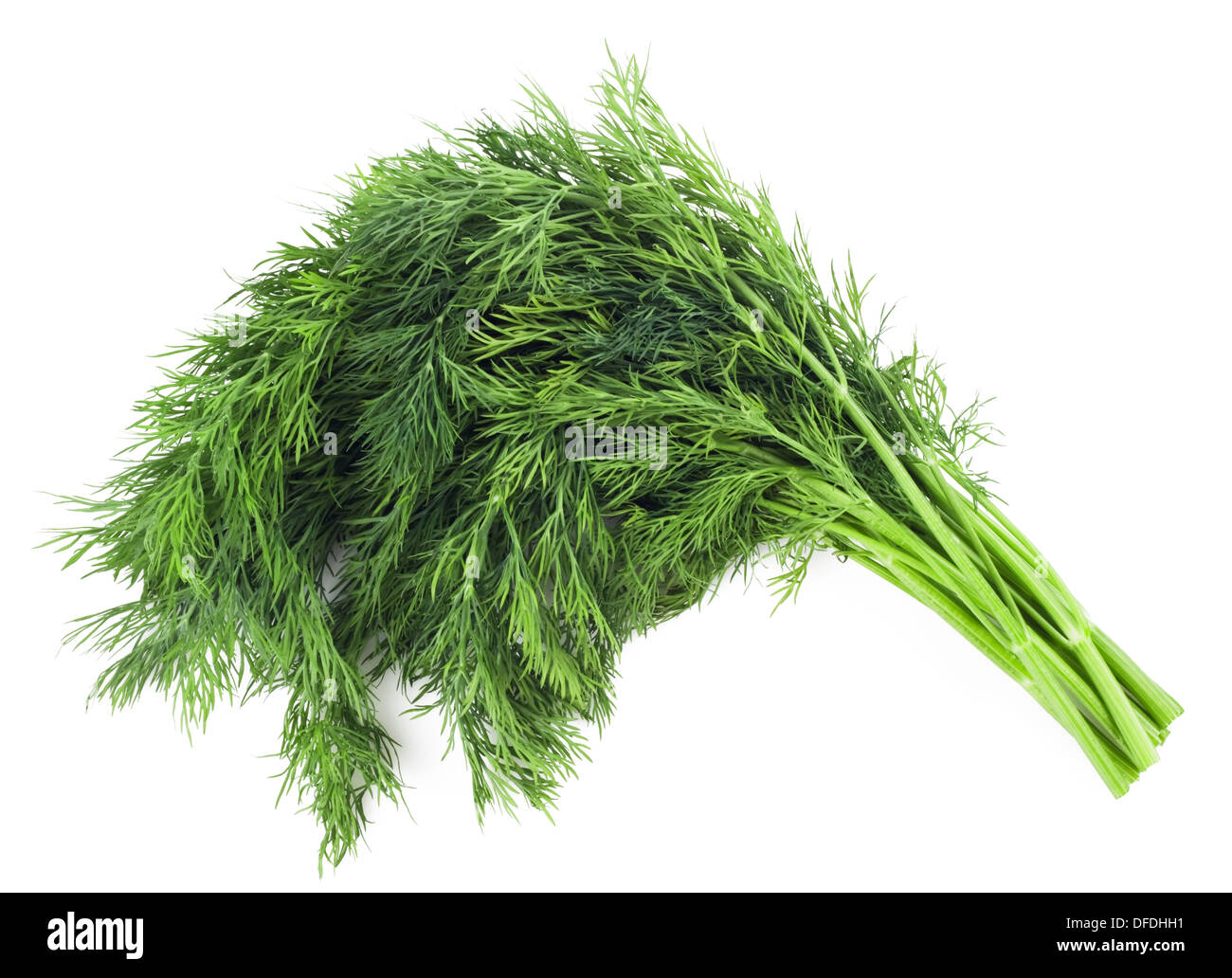 Fennel hi-res stock photography and images - Alamy