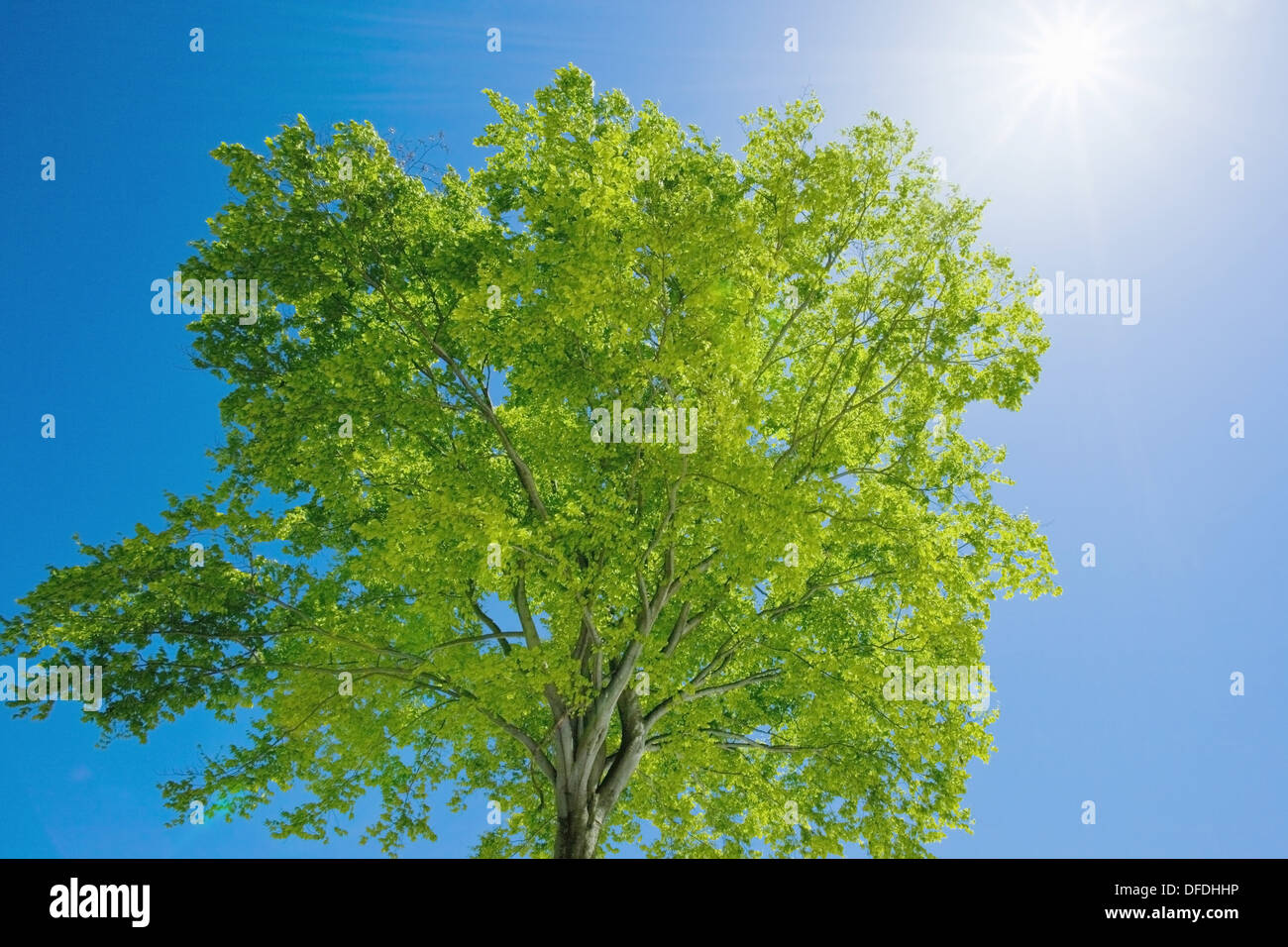 Tokamachi niigata hi-res stock photography and images - Alamy