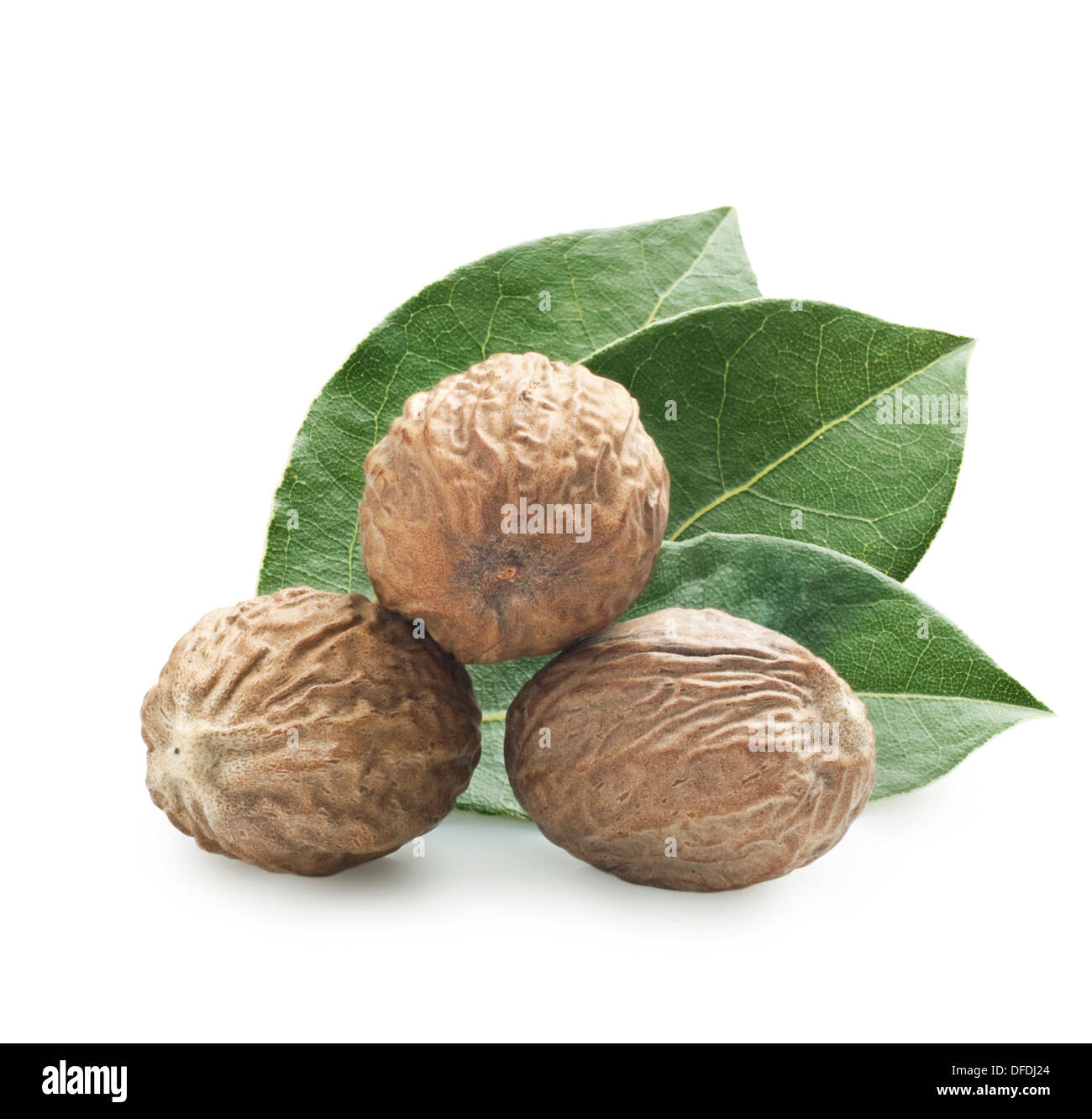 Nutmeg on a white background with a leaf Stock Photo - Alamy