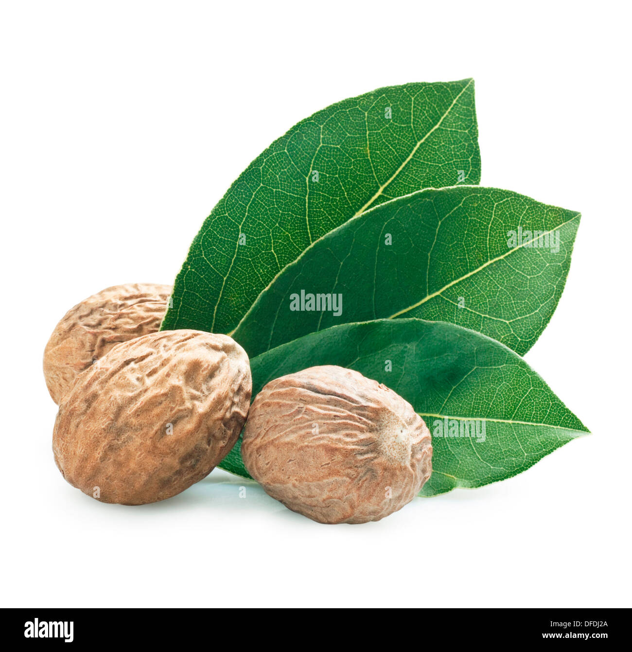 Nutmeg on a white background with a leaf Stock Photo - Alamy