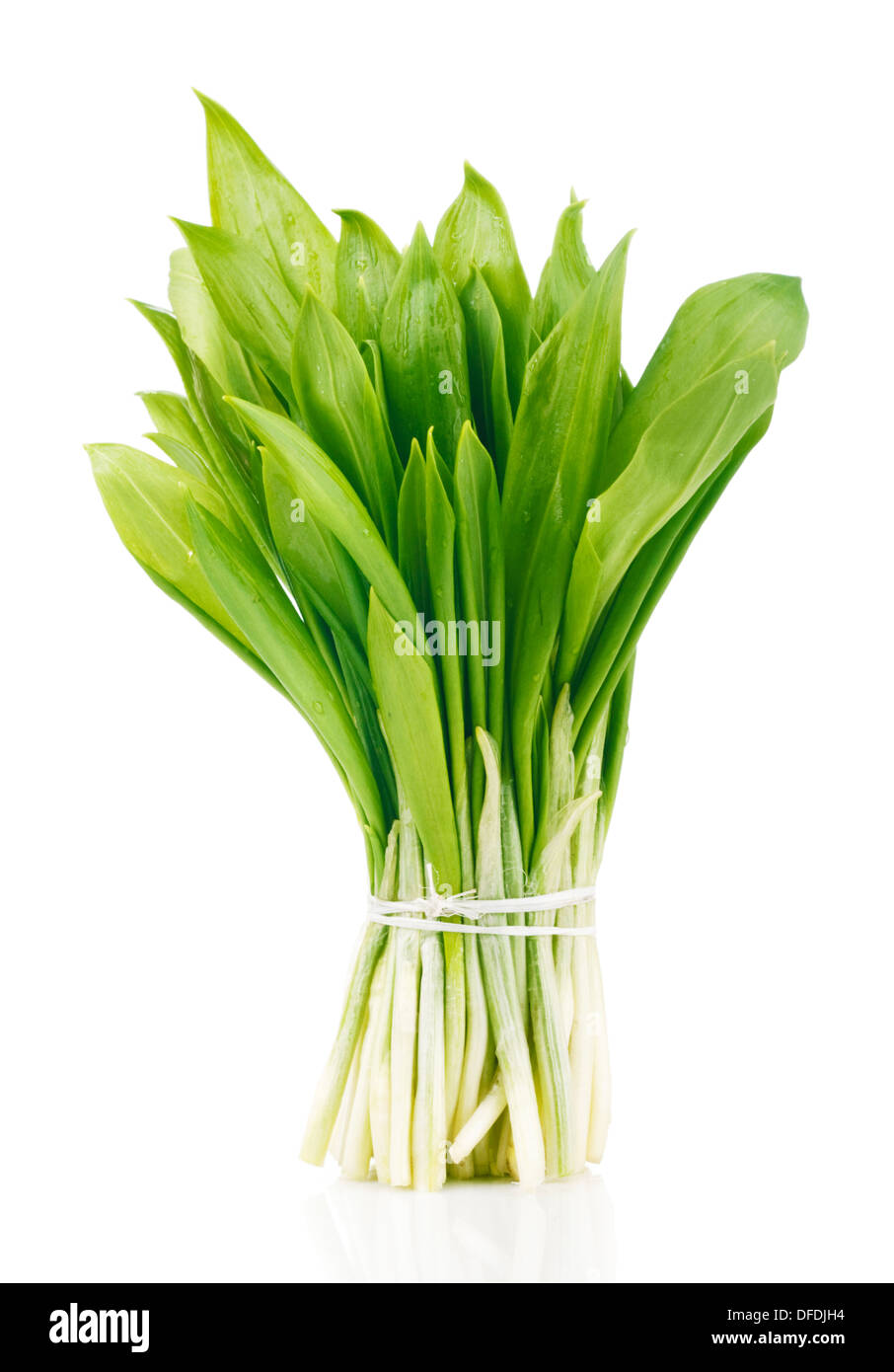 ramson bunch vegetable isolated on white background Stock Photo - Alamy