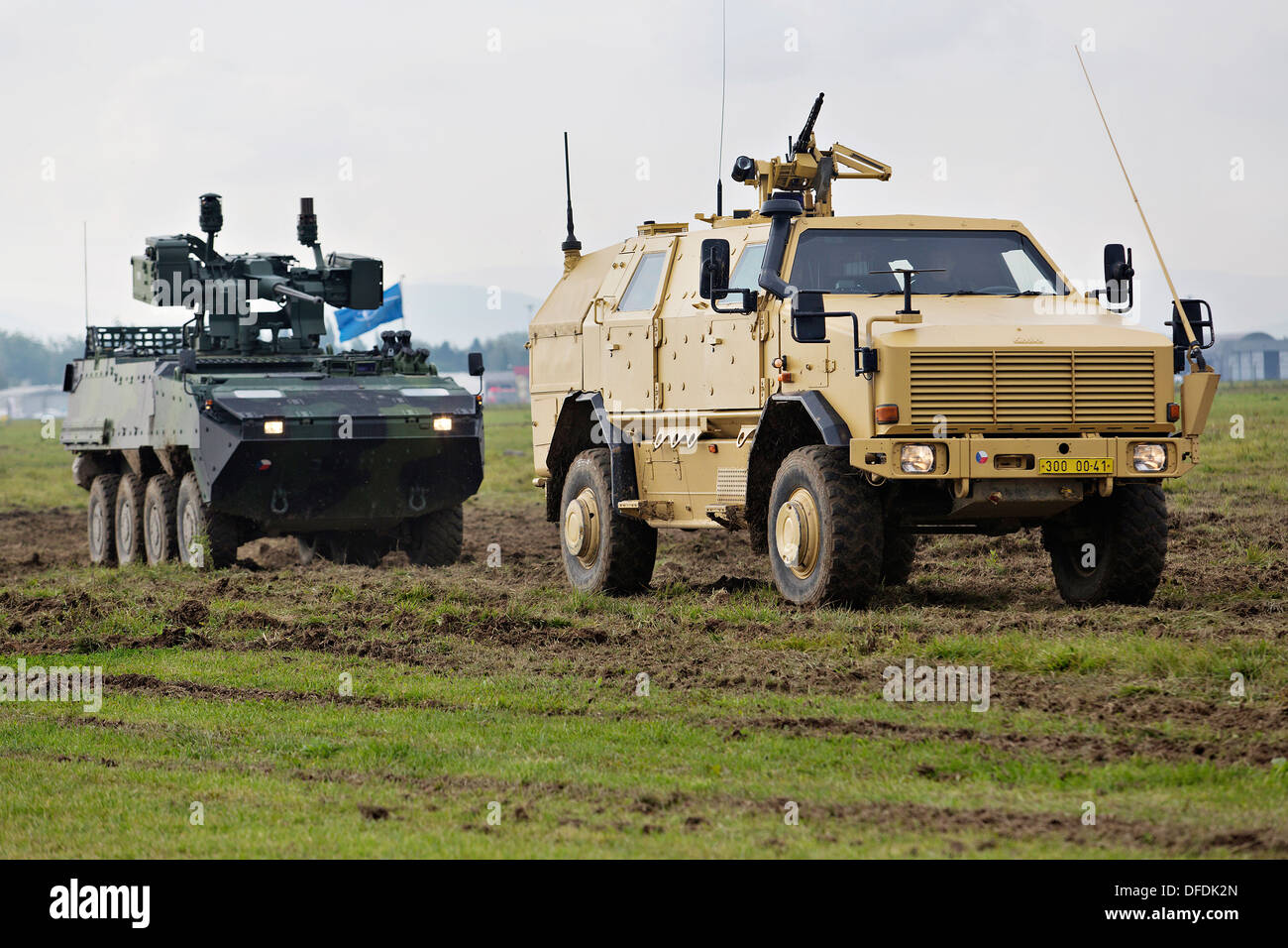 Dingo ii hi-res stock photography and images - Alamy