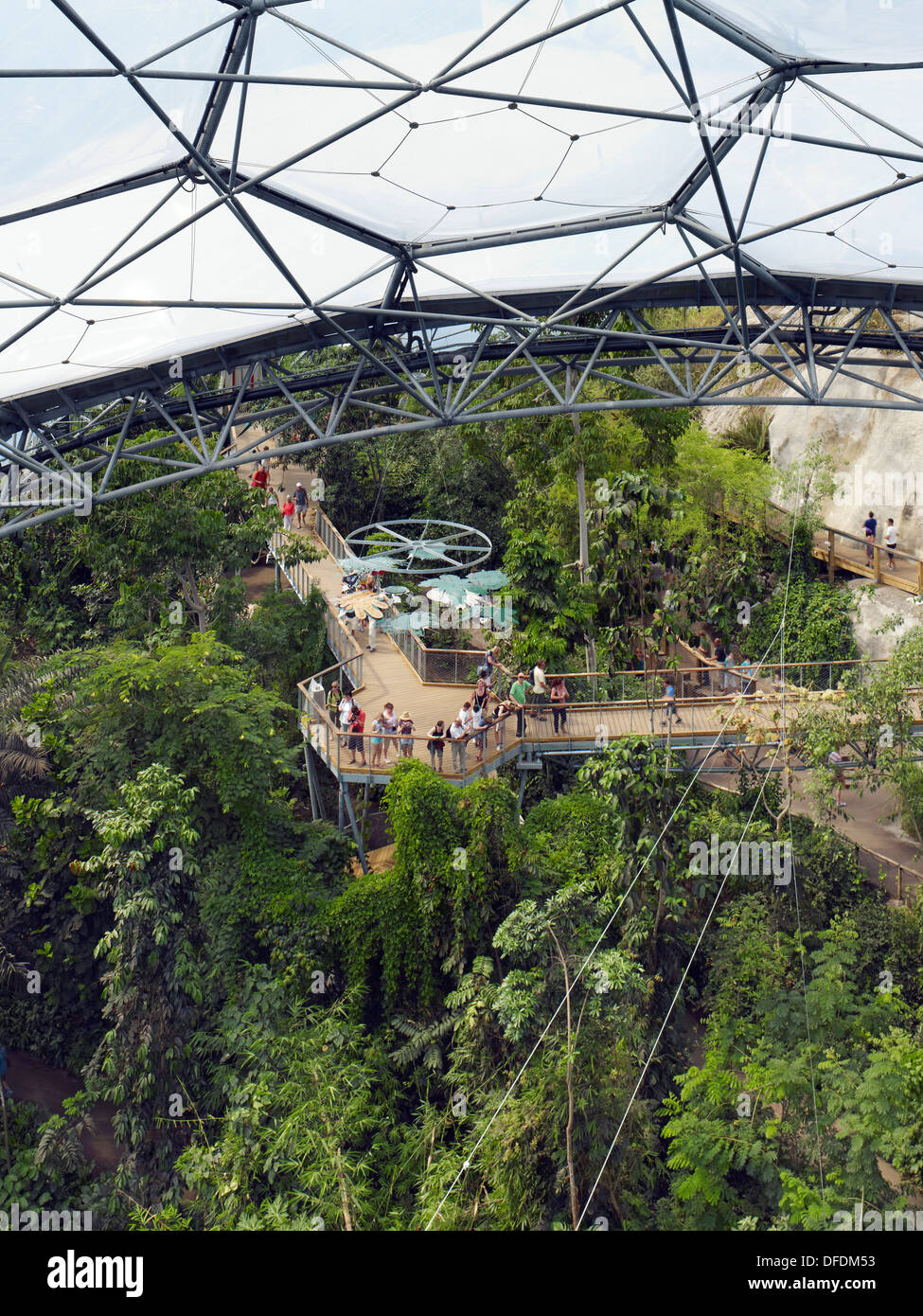 Rainforest canopy walkway eden hi-res stock photography and images - Alamy